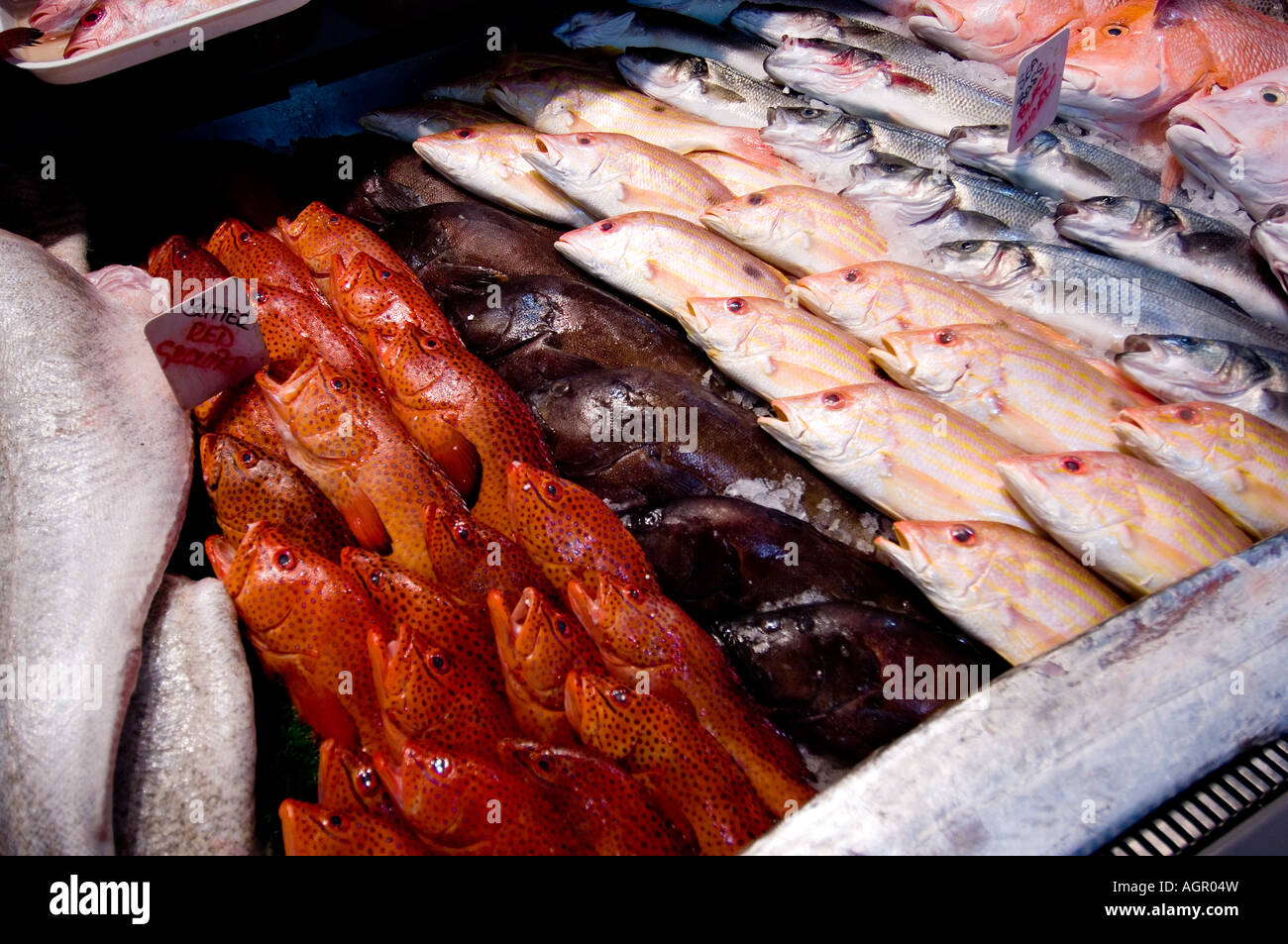 PIC BY DAVID BURGES A variety of fish at the fish market Birmingham ...