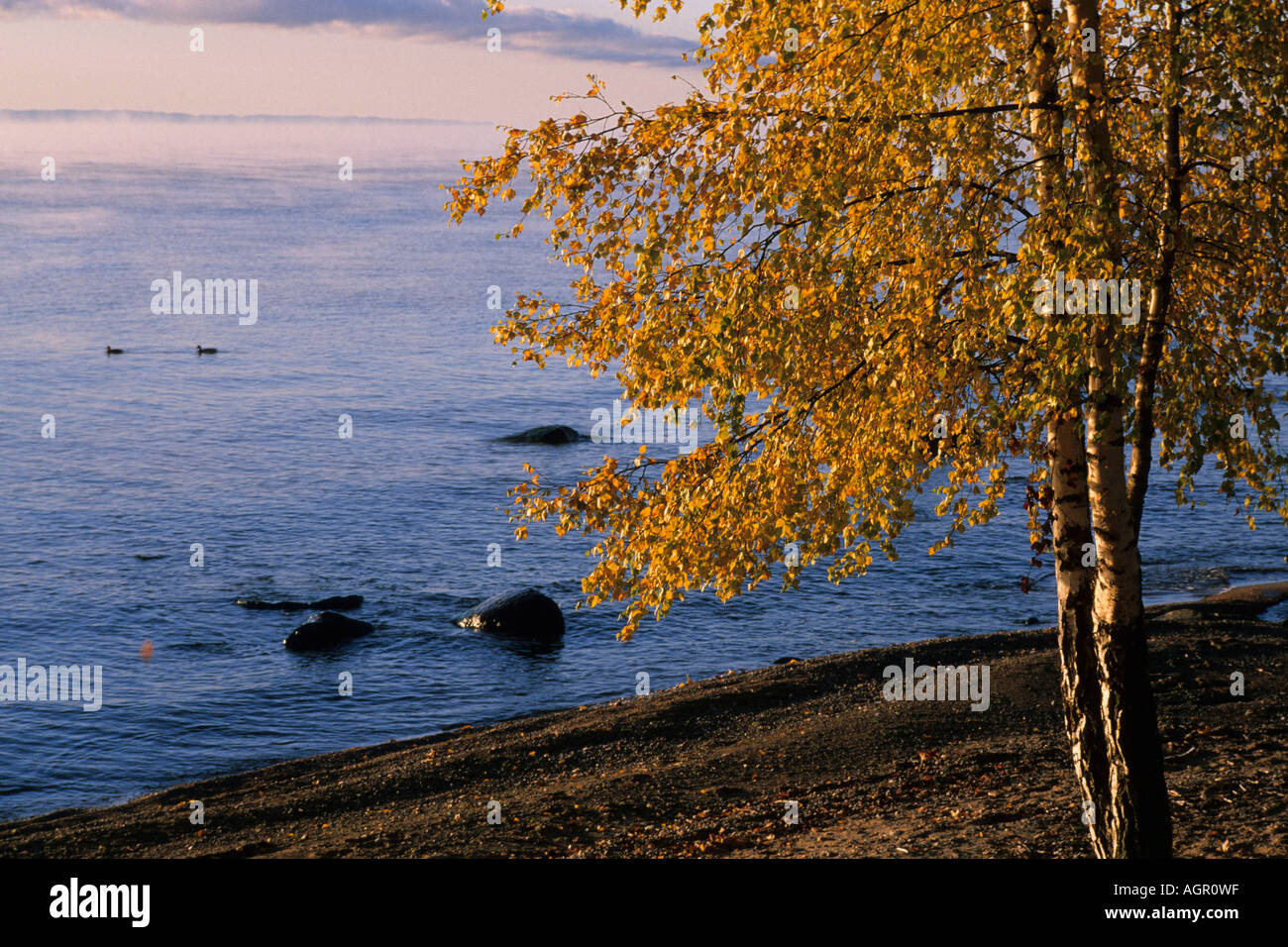 Lake Vattern / Vaetternsee Stock Photo - Alamy
