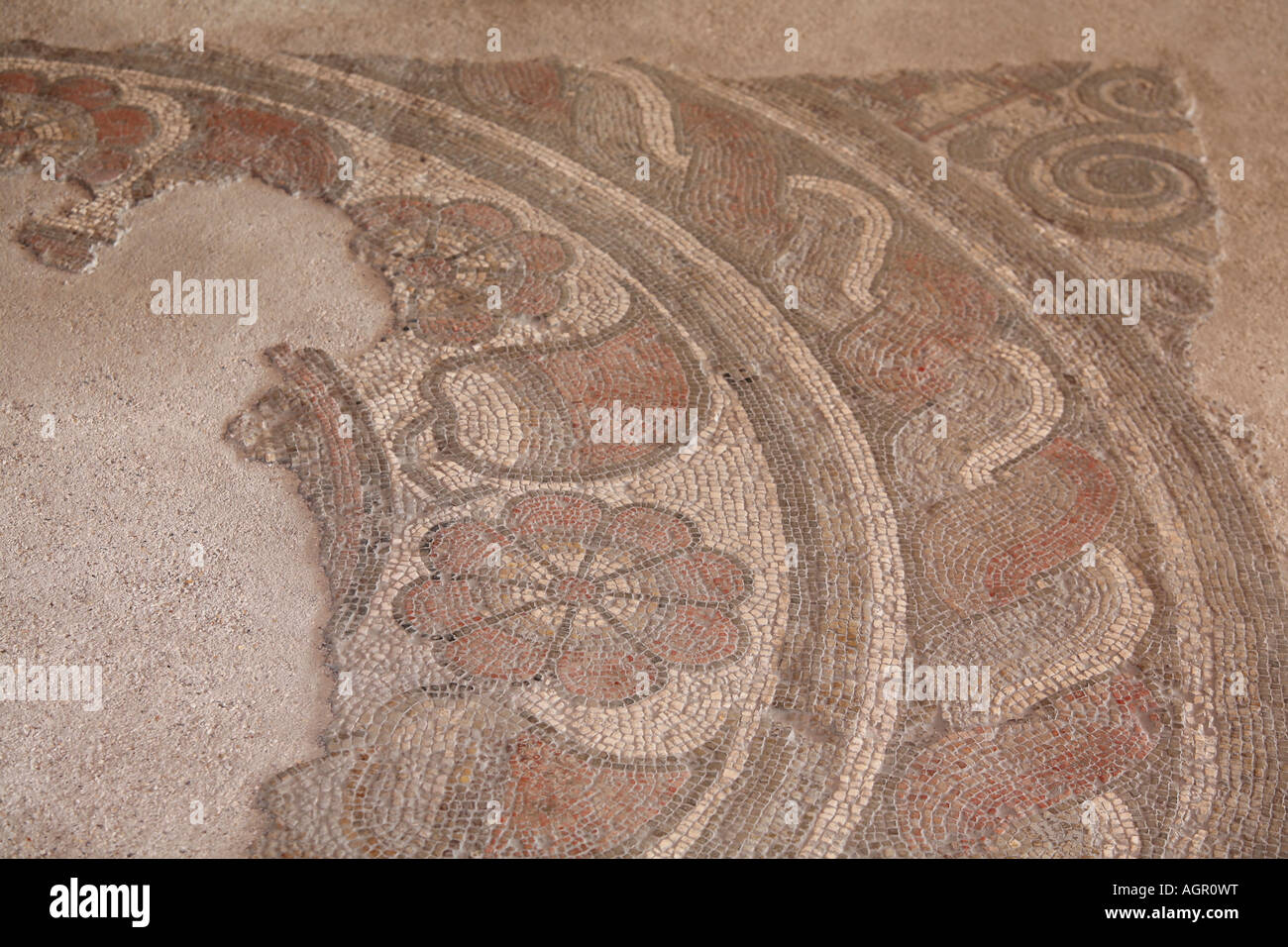 A section of a beauriful floral floor mosaic at Fishbourne Roman Palace ...