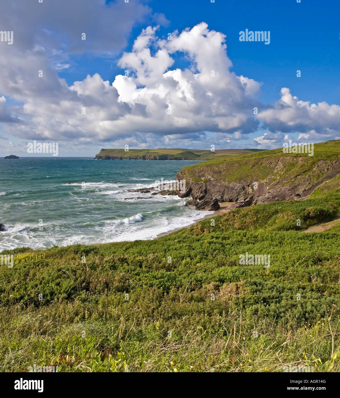 the coastal footpath between haymer bay rock and polzeath the cornish ...