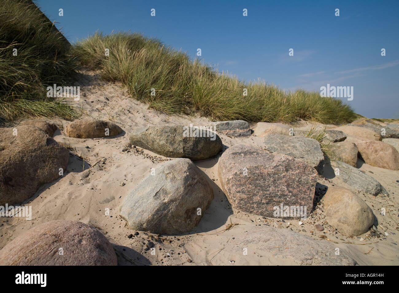 Skagen dune with rocks, Denmark Stock Photo - Alamy