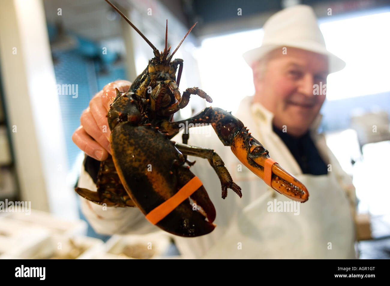 David fish hi-res stock photography and images - Alamy