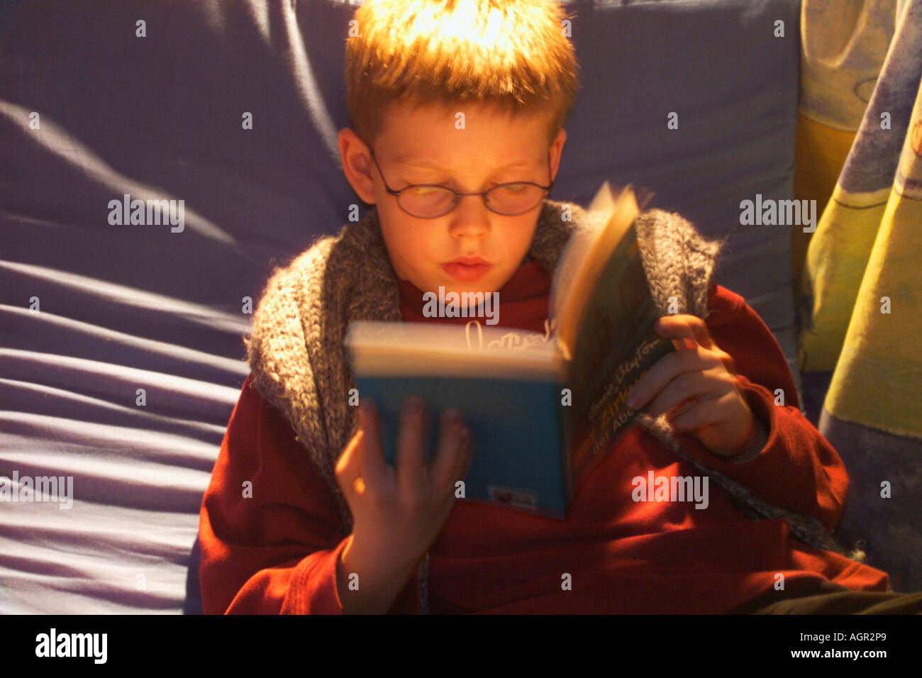 Boy with glasses reading book Cut Out Stock Images & Pictures - Alamy