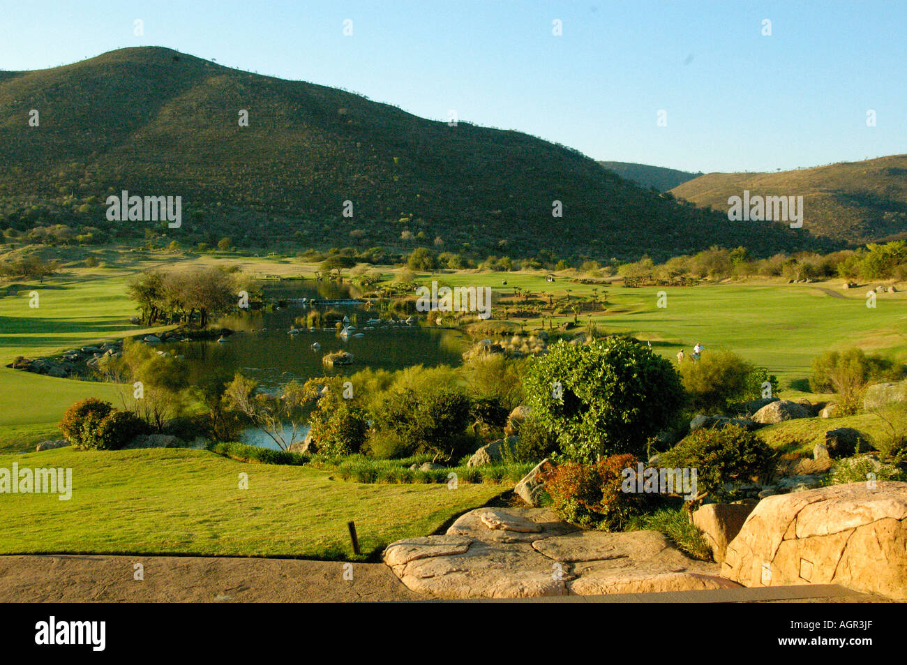 Golf Course / Sun City Stock Photo - Alamy