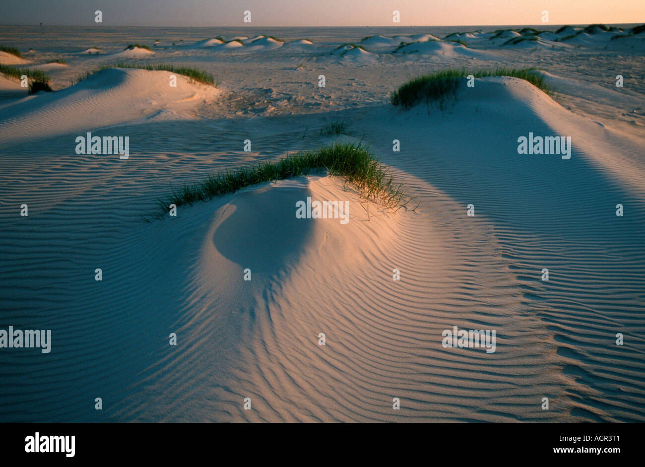 Sand dunes netherlands hi-res stock photography and images - Alamy