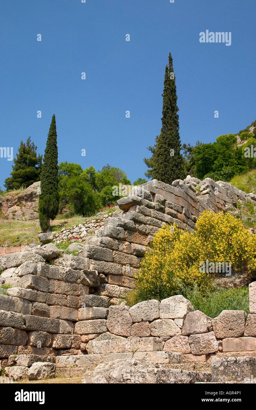 Stone wall and Cypress / Delphi Stock Photo - Alamy