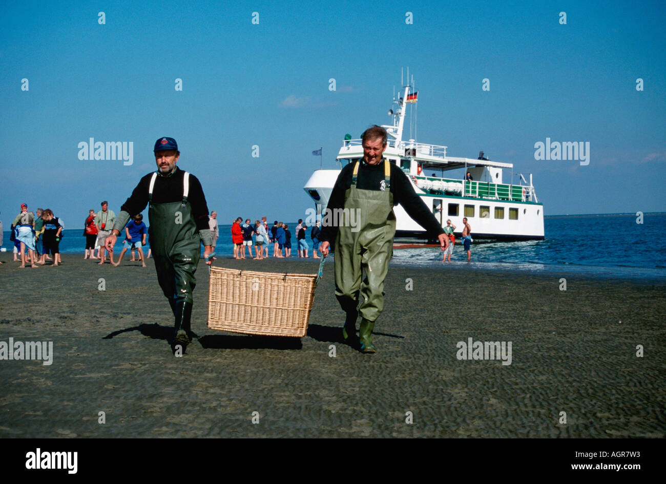 Heuler hi-res stock photography and images - Alamy