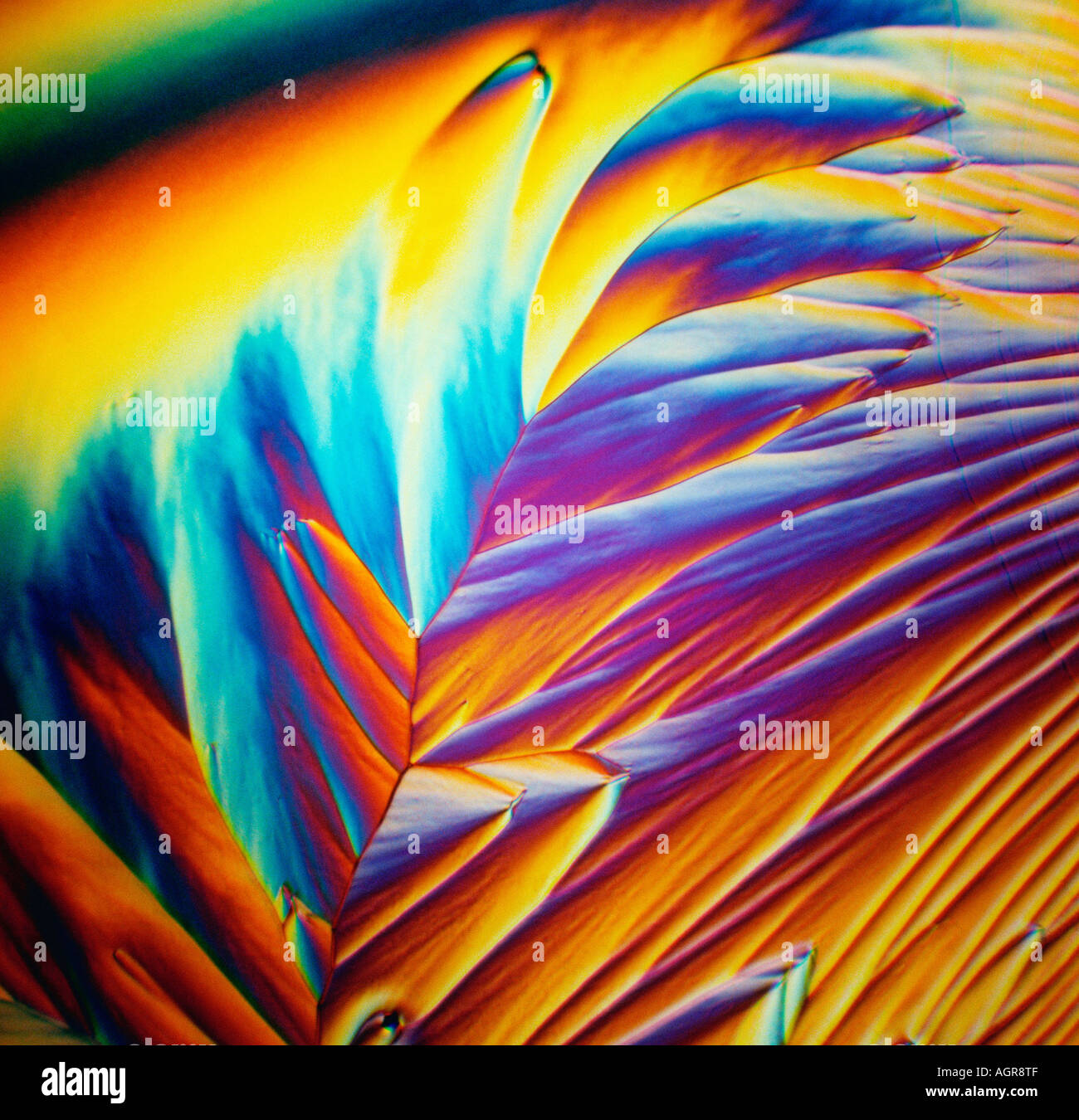 Vitamin C / Ascorbic acid Stock Photo - Alamy