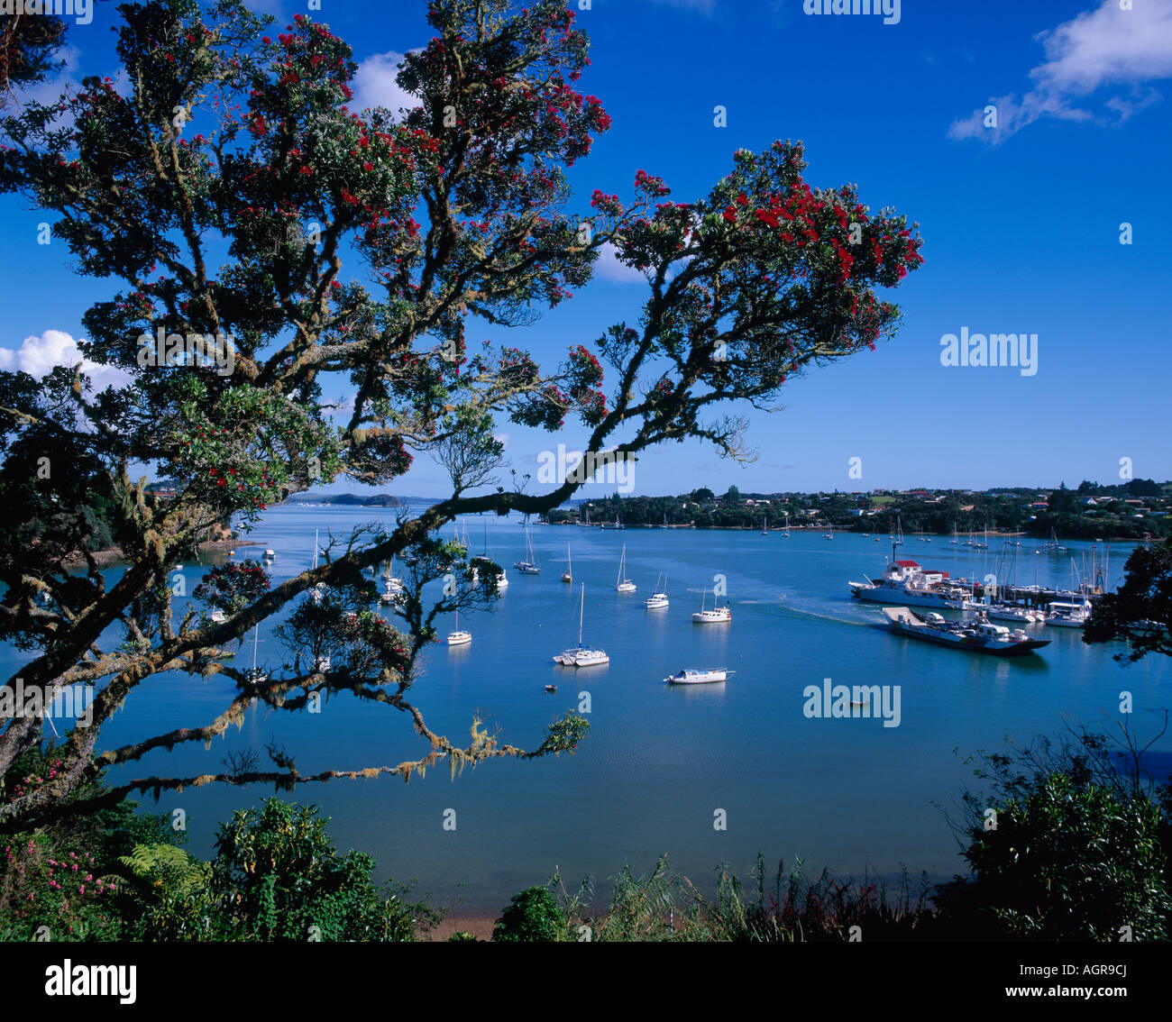 Paihia bay of islands new zealand hi-res stock photography and images ...