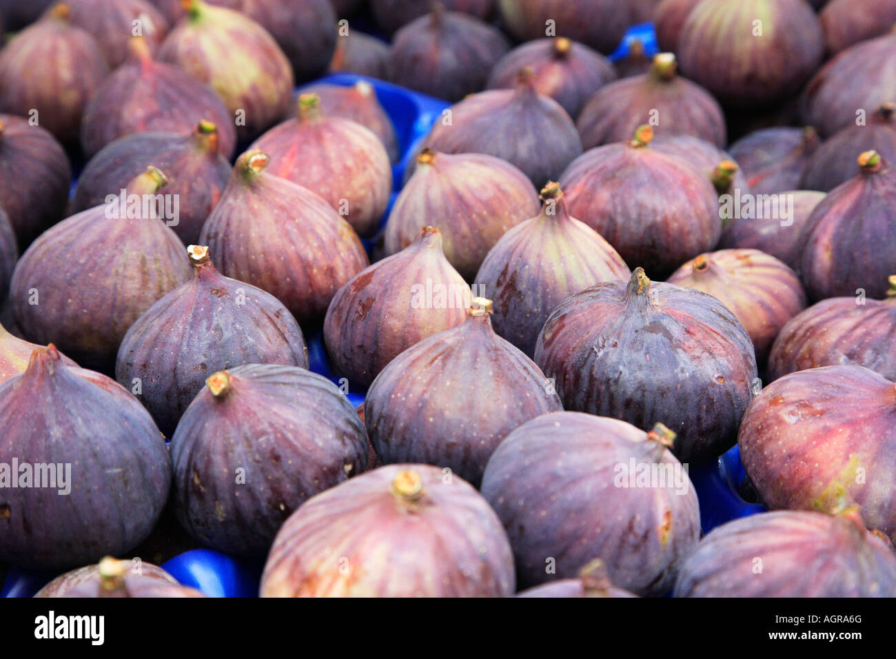 Fresh figs cambridge market hi-res stock photography and images - Alamy
