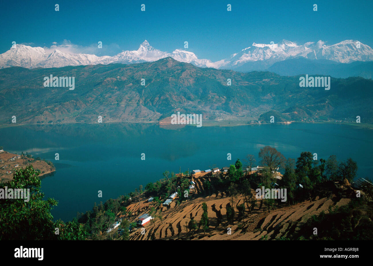 Phewa Lake / Pokhara / Phewa-See Stock Photo - Alamy