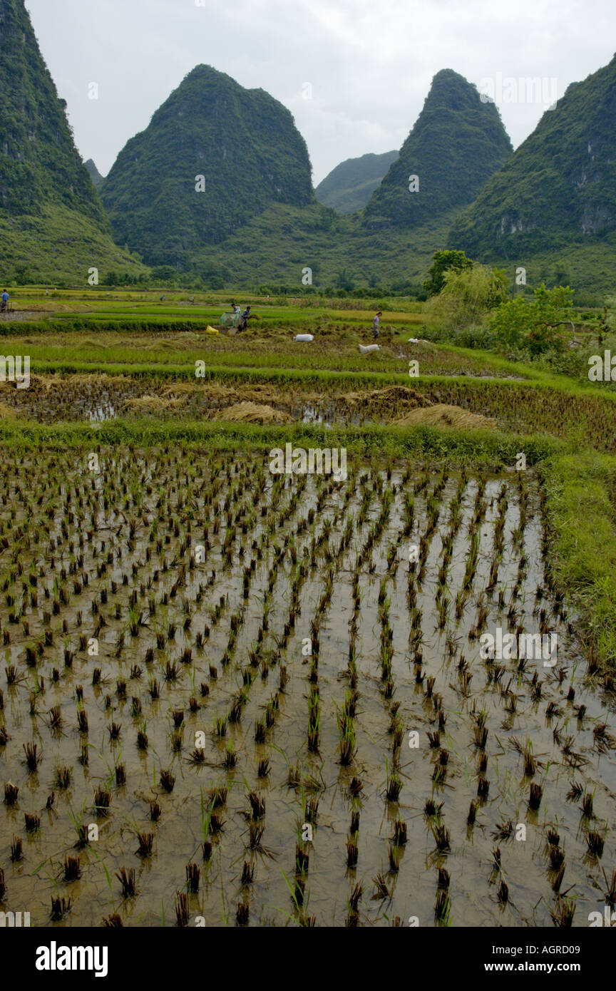 Chn1407 hi-res stock photography and images - Alamy