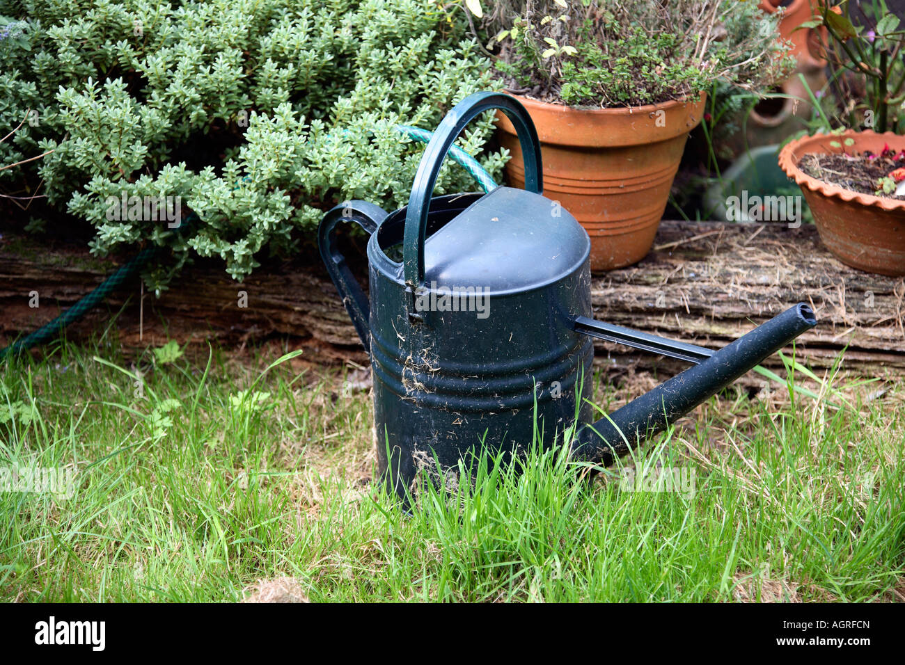 Watering can in a garden Stock Photo - Alamy