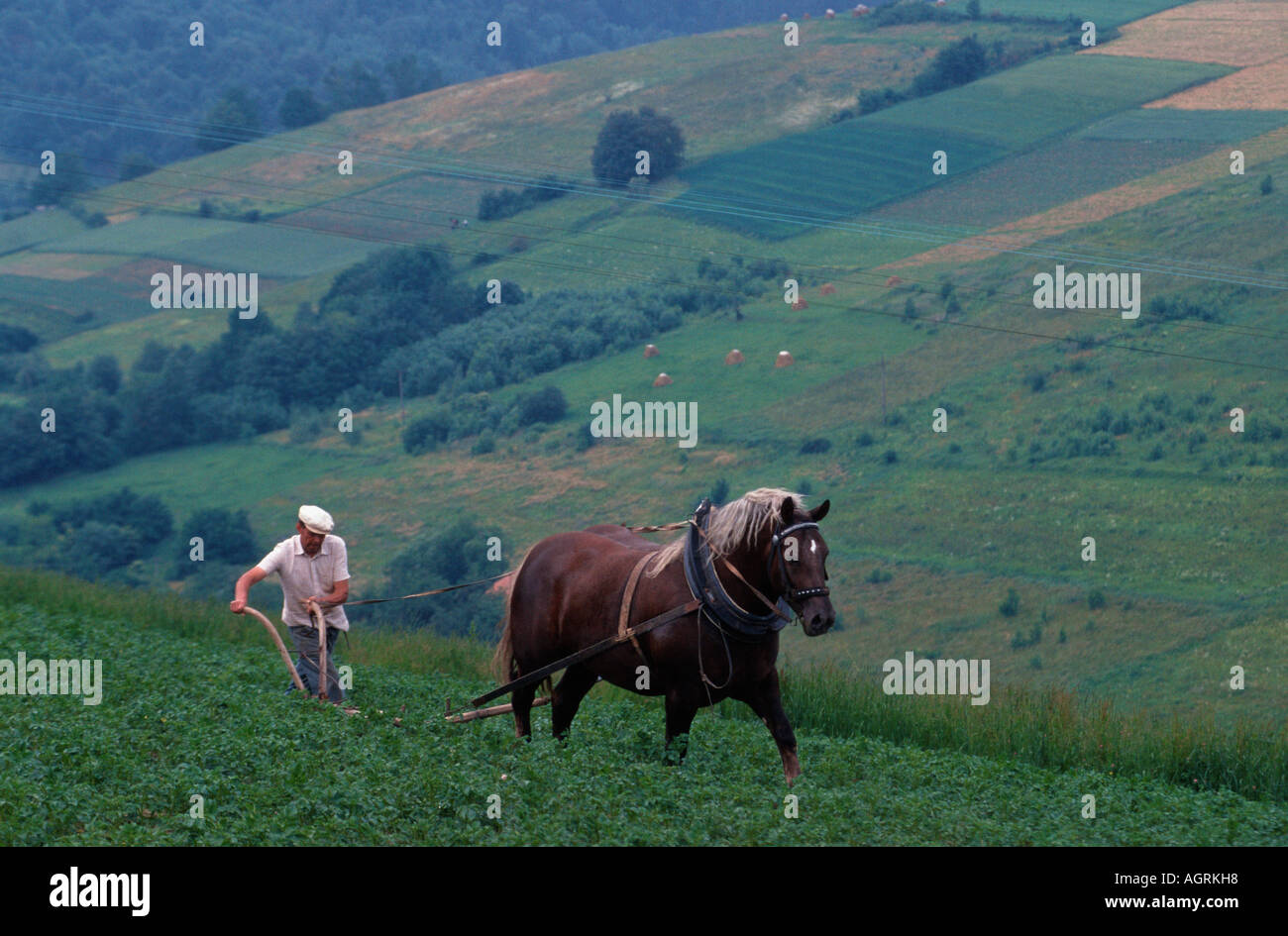 Man with horse plough / plow Stock Photo - Alamy
