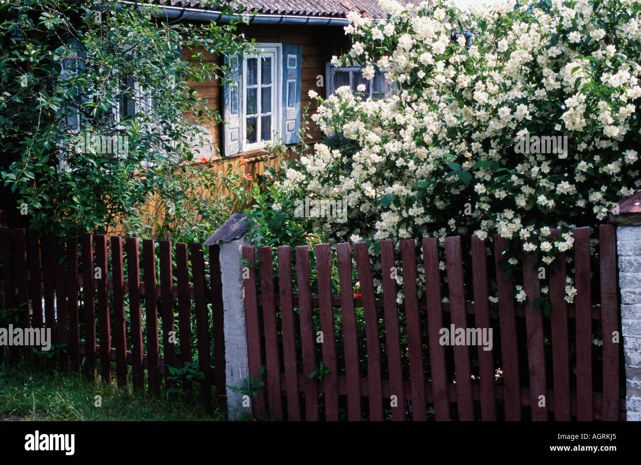 House behind fence hi-res stock photography and images - Alamy