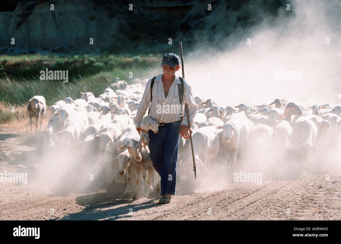 Shepherd with flock of sheep hi-res stock photography and images - Alamy