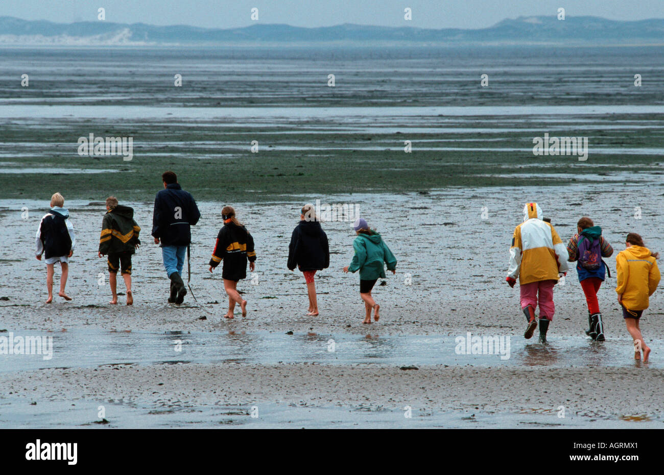 People on mud flats Stock Photo - Alamy