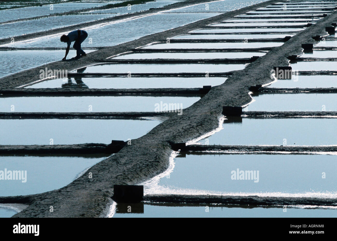 Salt production / Ile de Re Stock Photo - Alamy