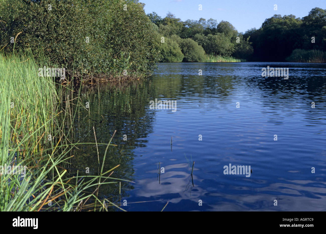 Allan tarn on river crake hi-res stock photography and images - Alamy