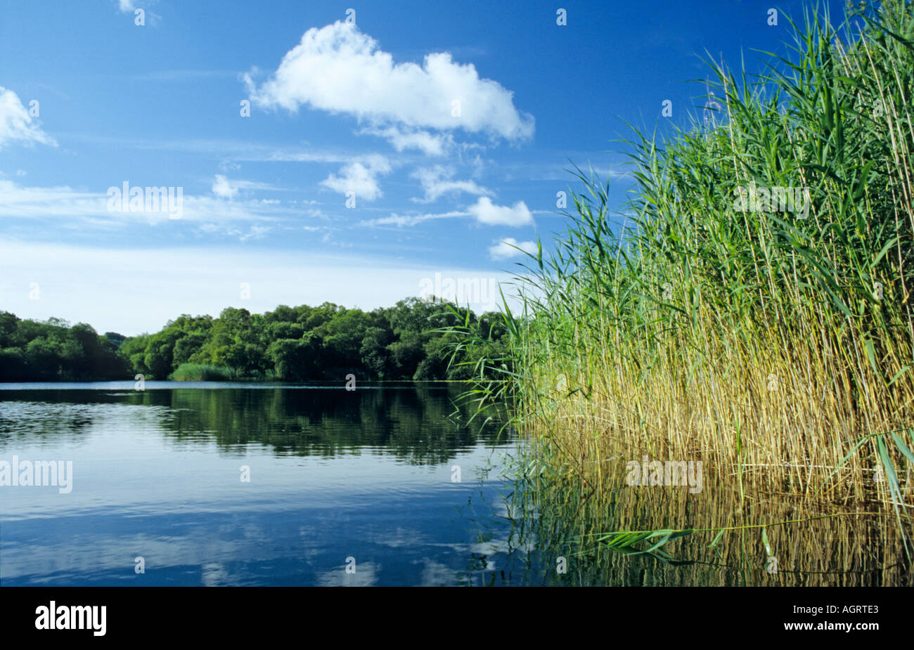 On the allan water hi-res stock photography and images - Alamy