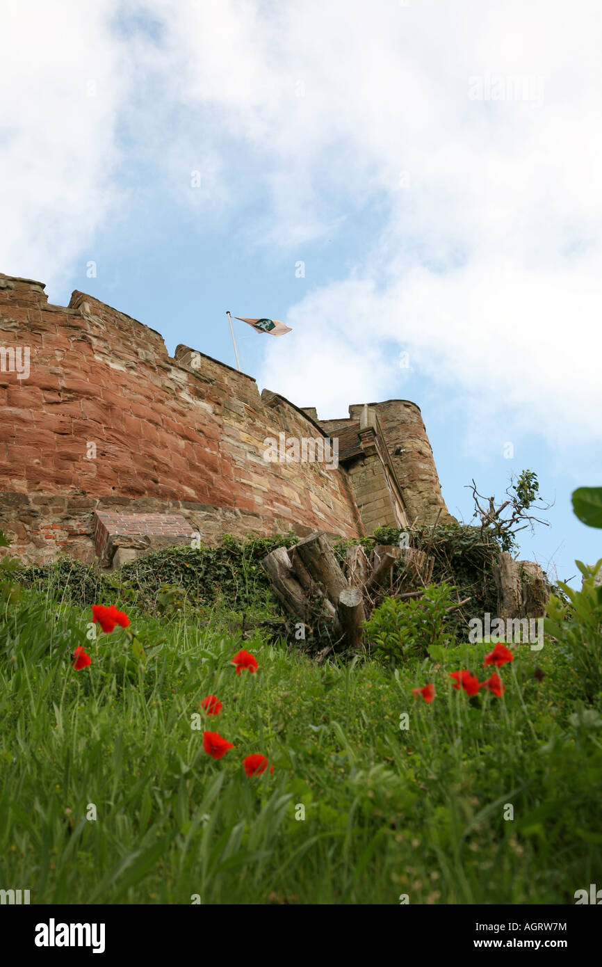 Tamworth Castle and poppy flowers 014 Stock Photo - Alamy
