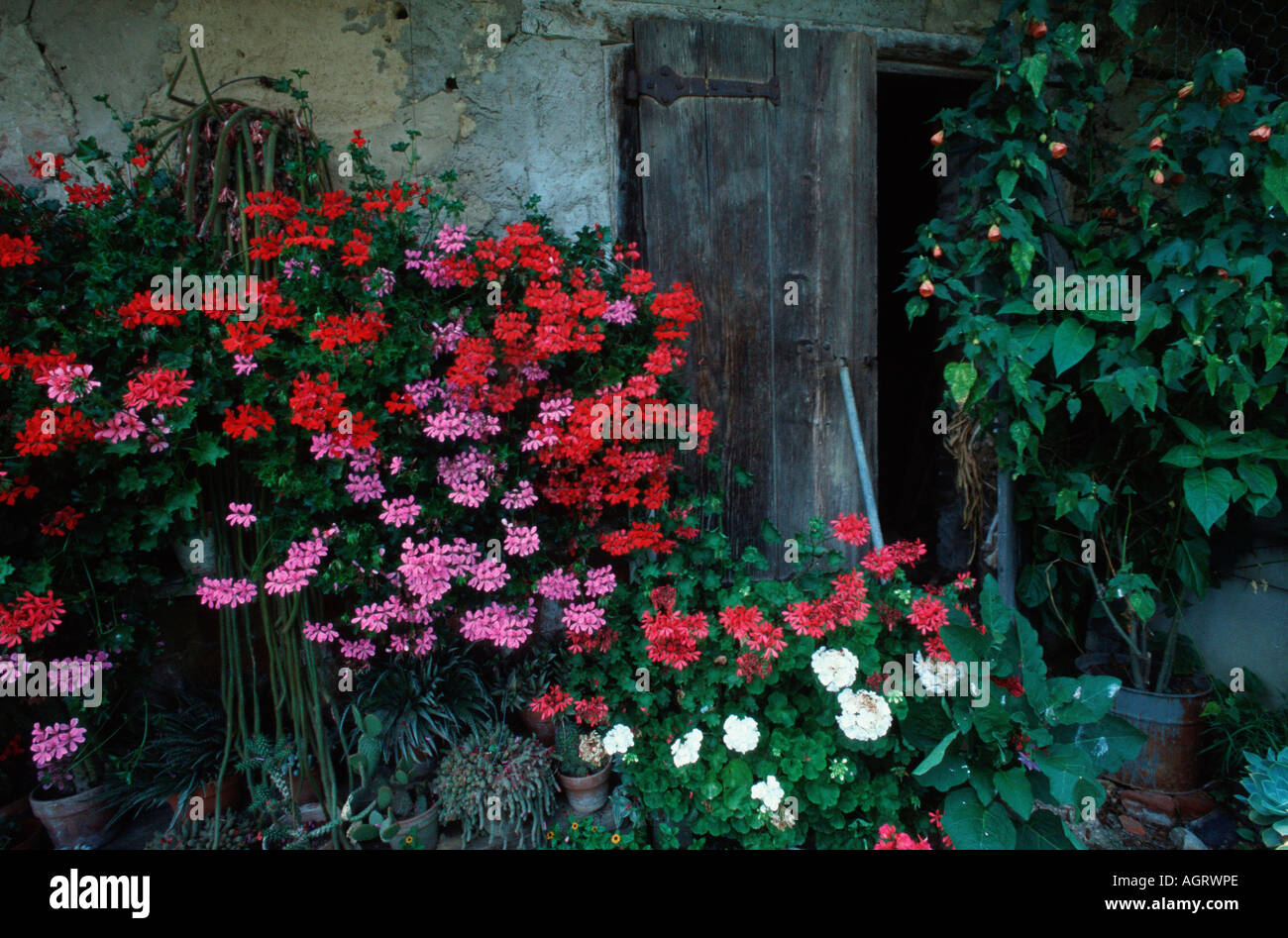 Door with flower decoration Stock Photo - Alamy