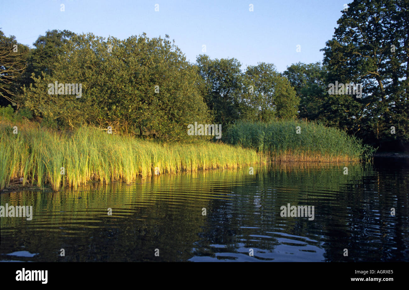 Coniston fishing lake hi-res stock photography and images - Alamy
