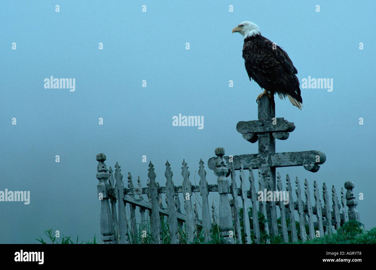 Dutch harbour alaska hi-res stock photography and images - Alamy