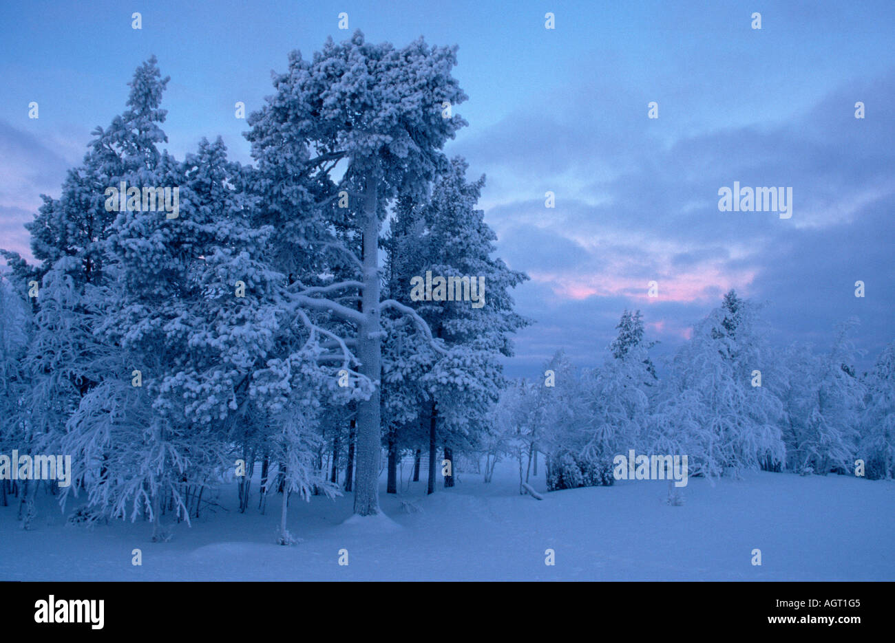 "polar night" hi-res stock photography and images - Alamy