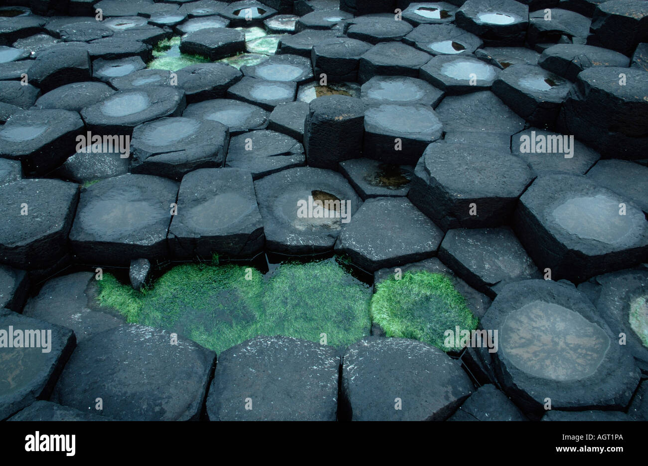 Basalt columns / Giant's Causeway Stock Photo - Alamy