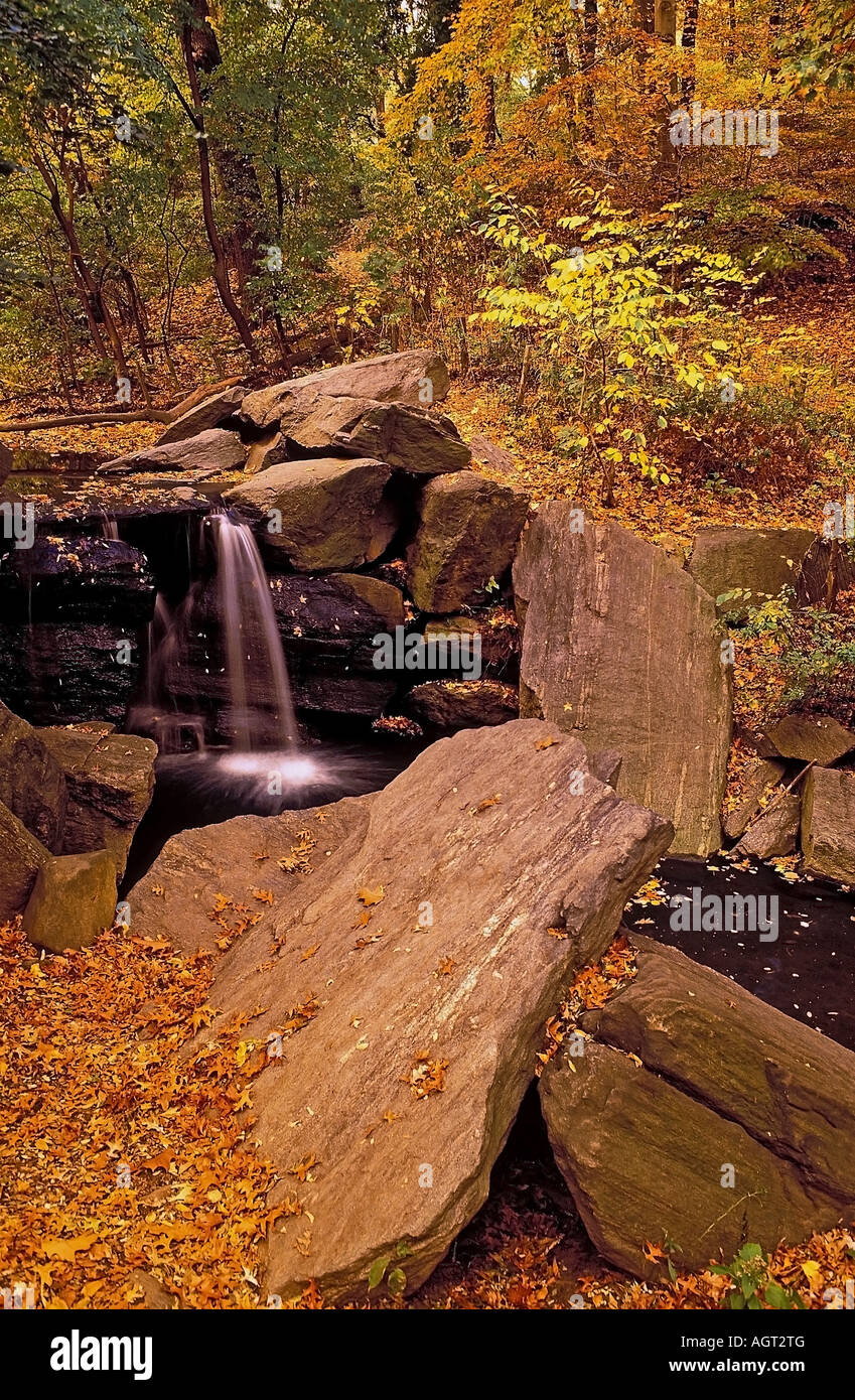 Fall foliage prospect park hi-res stock photography and images - Alamy