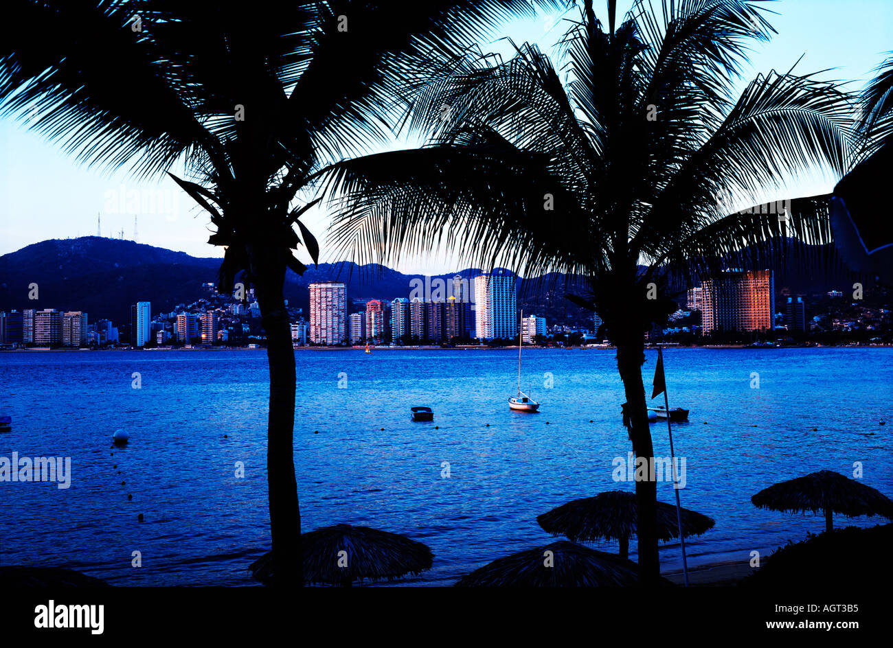 Idyllic palm trees acapulco hi-res stock photography and images - Alamy