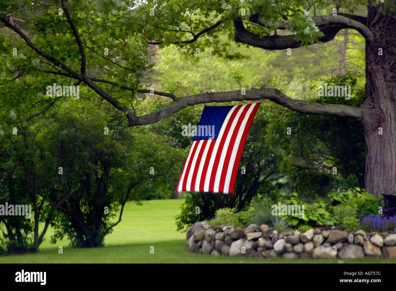 American flag hanging from tree limb Stock Photo - Alamy