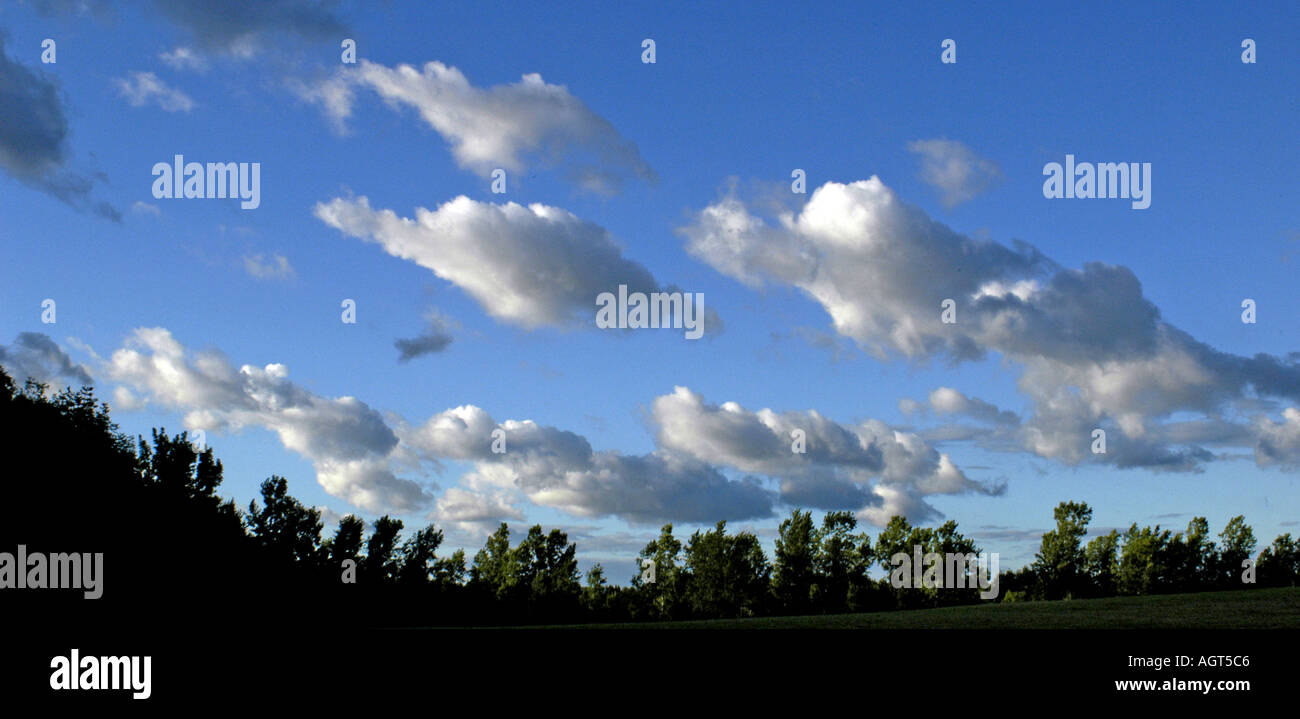 Blue sky clouds and treeline Stock Photo - Alamy
