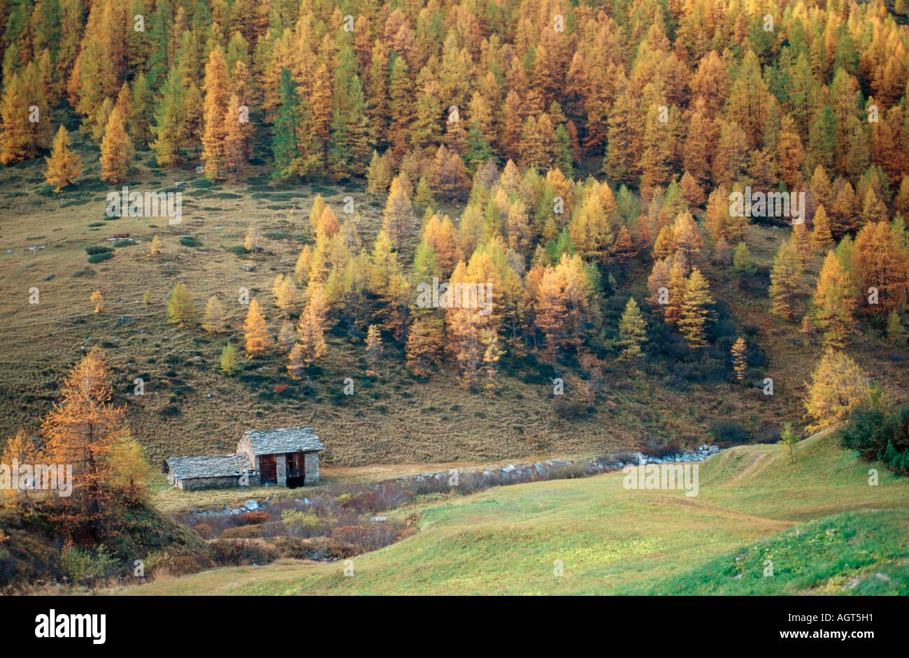 Val fex hi-res stock photography and images - Alamy