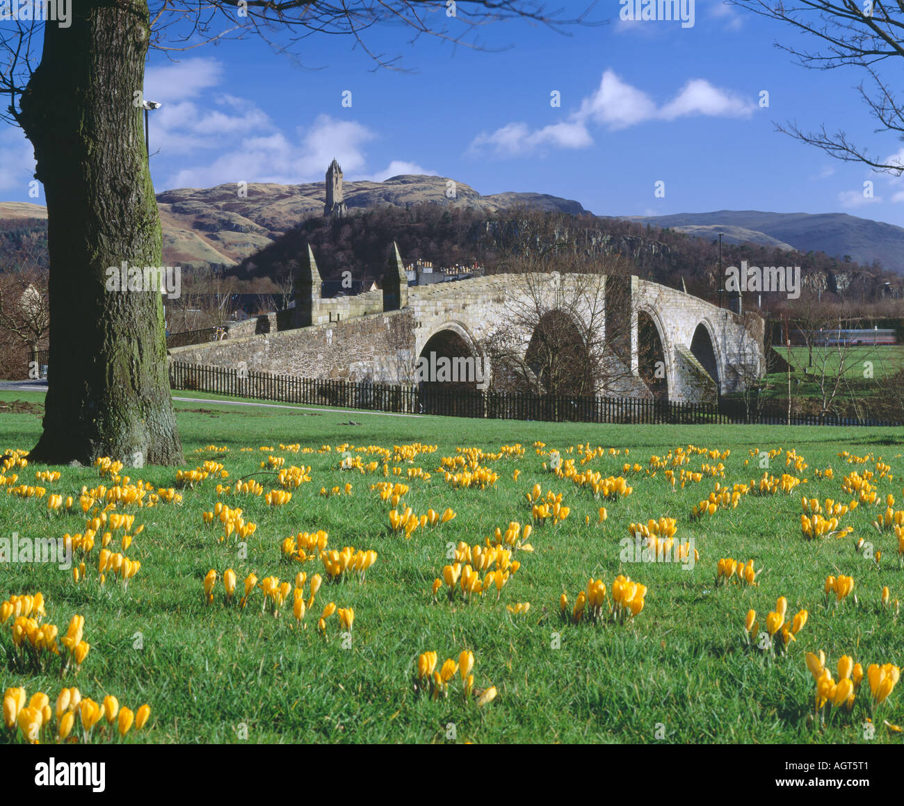 Stirling Bridge across the River Forth, Stirling City, Scotland, UK ...
