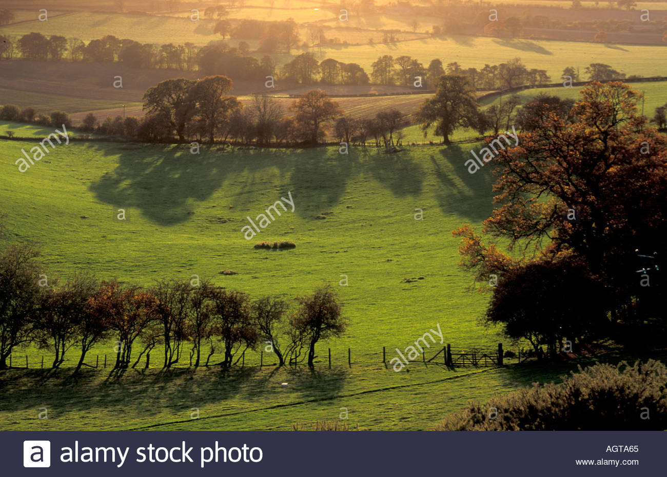 Howardian Hills High Resolution Stock Photography and Images - Alamy