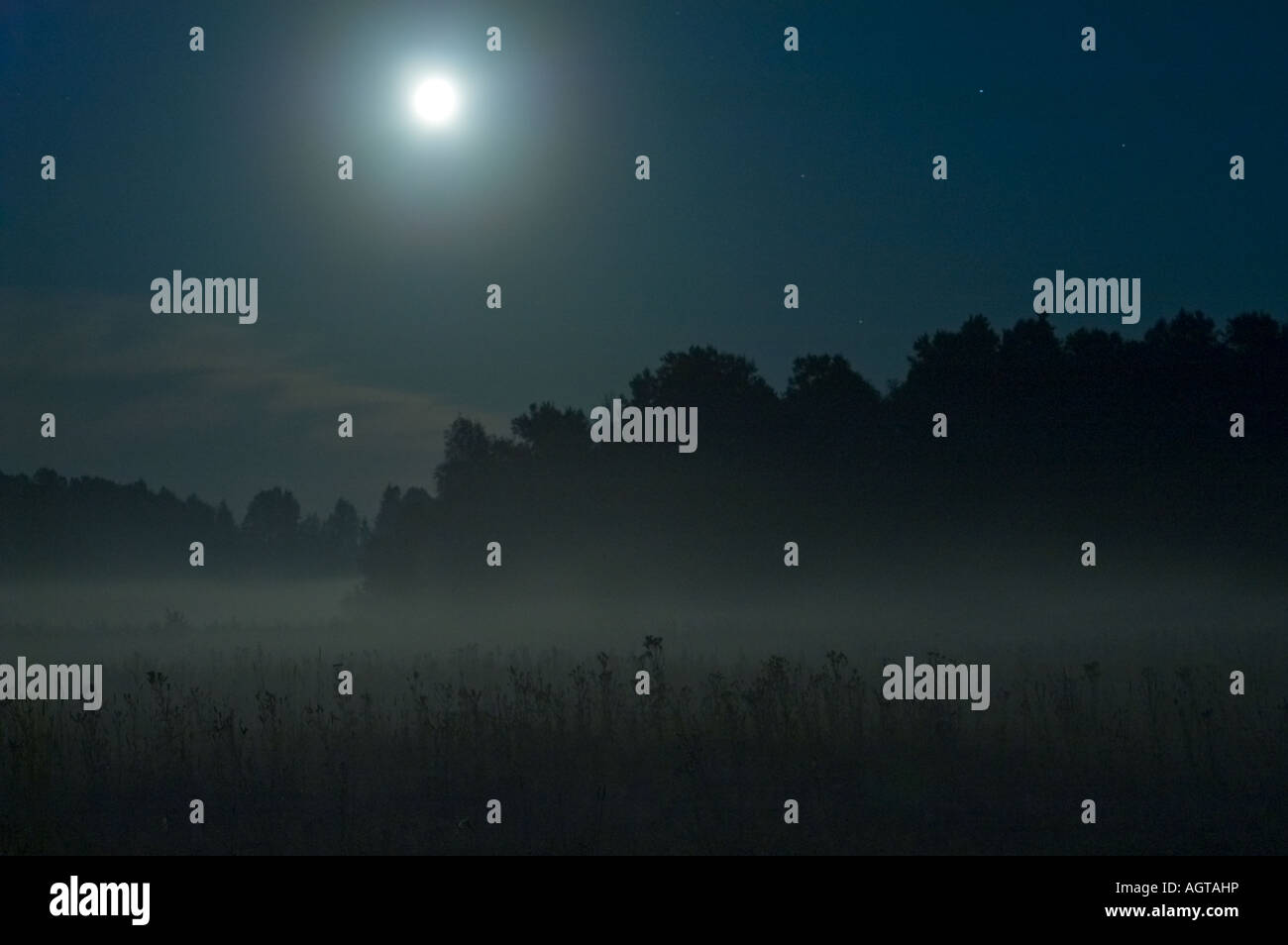 Misty night field lit with moonlight Stock Photo - Alamy
