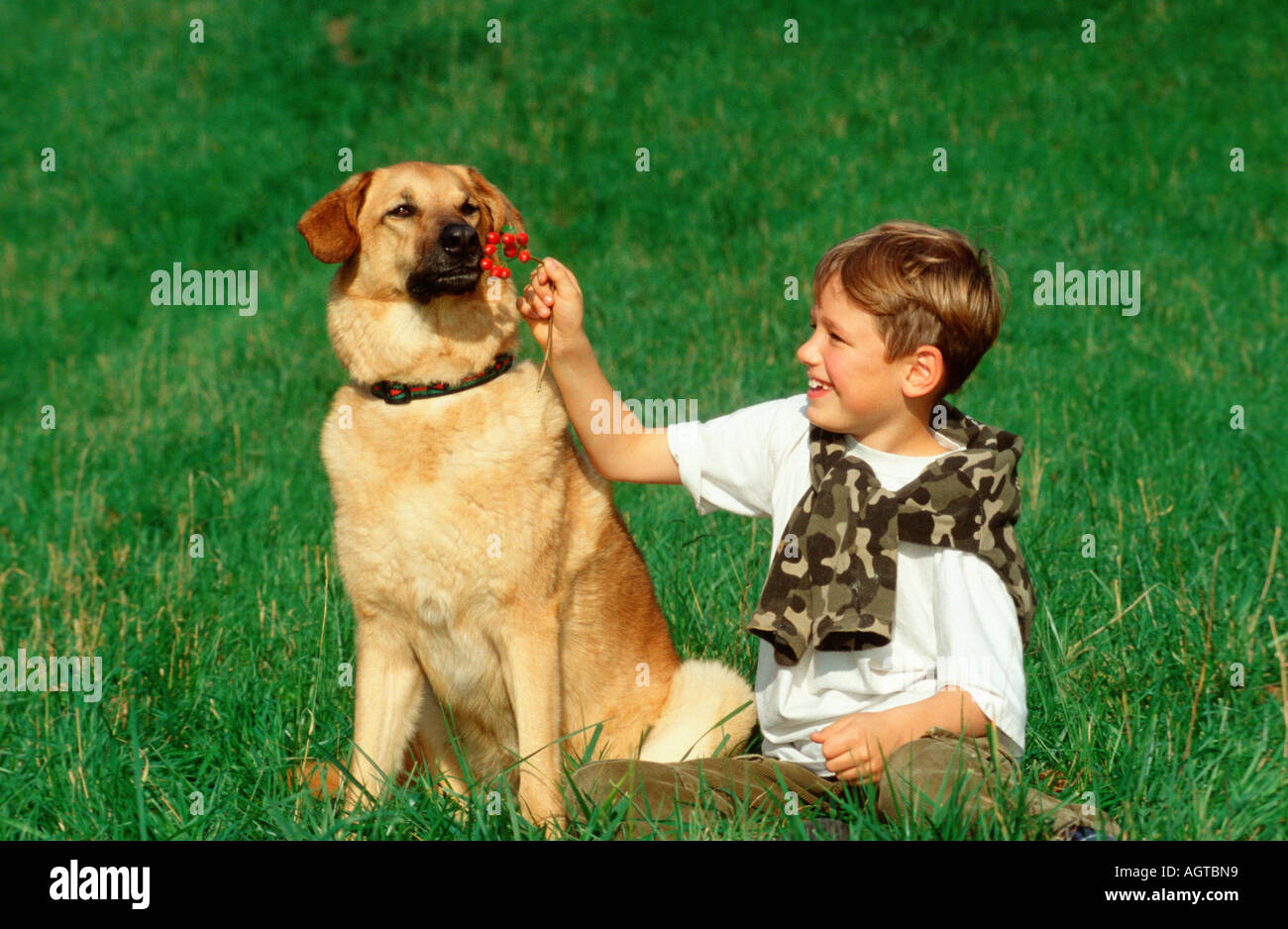 Boy with Mixed Breed Dog Stock Photo - Alamy