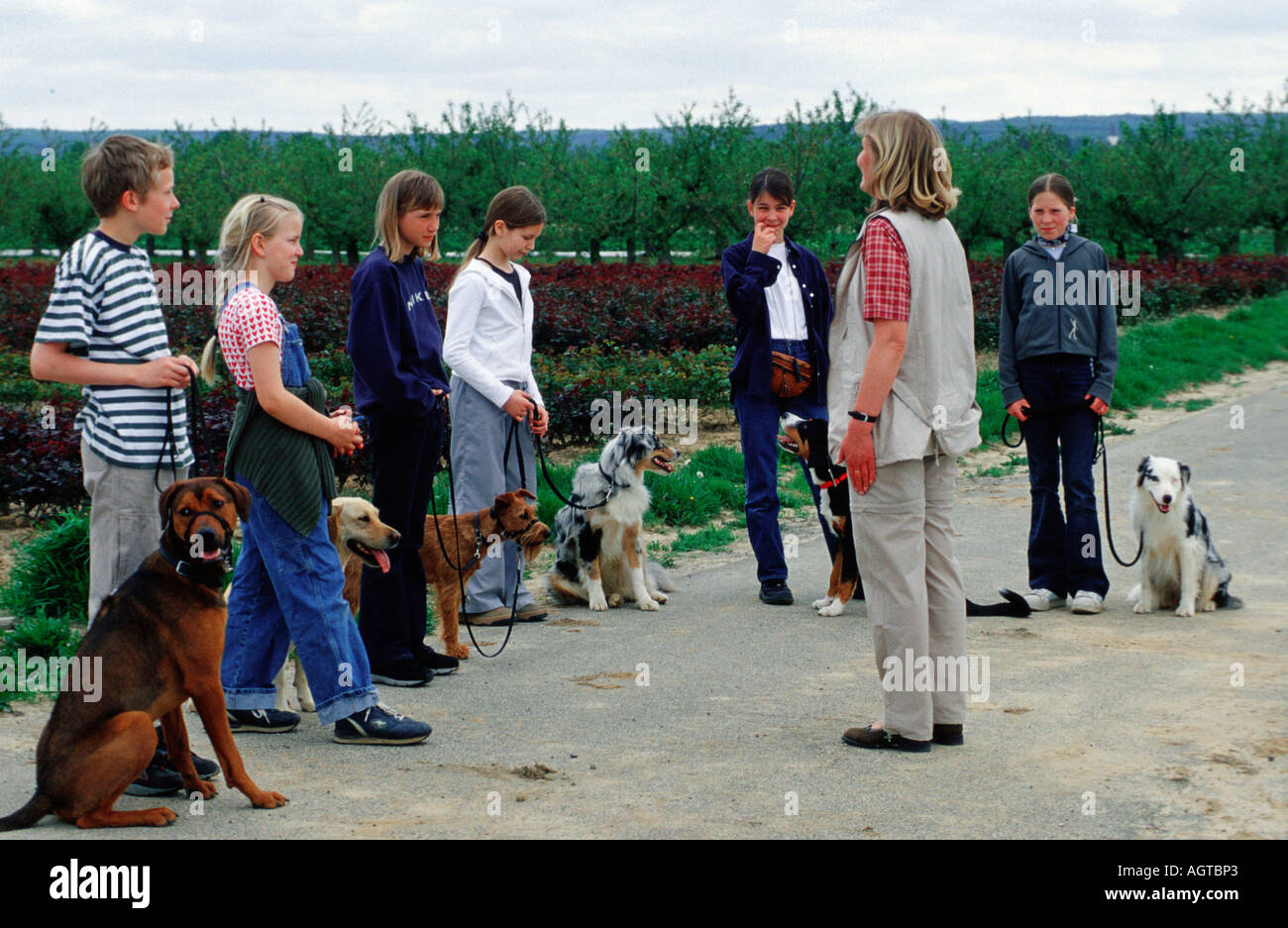 Children and dogs Stock Photo - Alamy