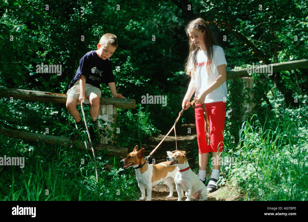 Children with Jack Russell Terrier Stock Photo - Alamy