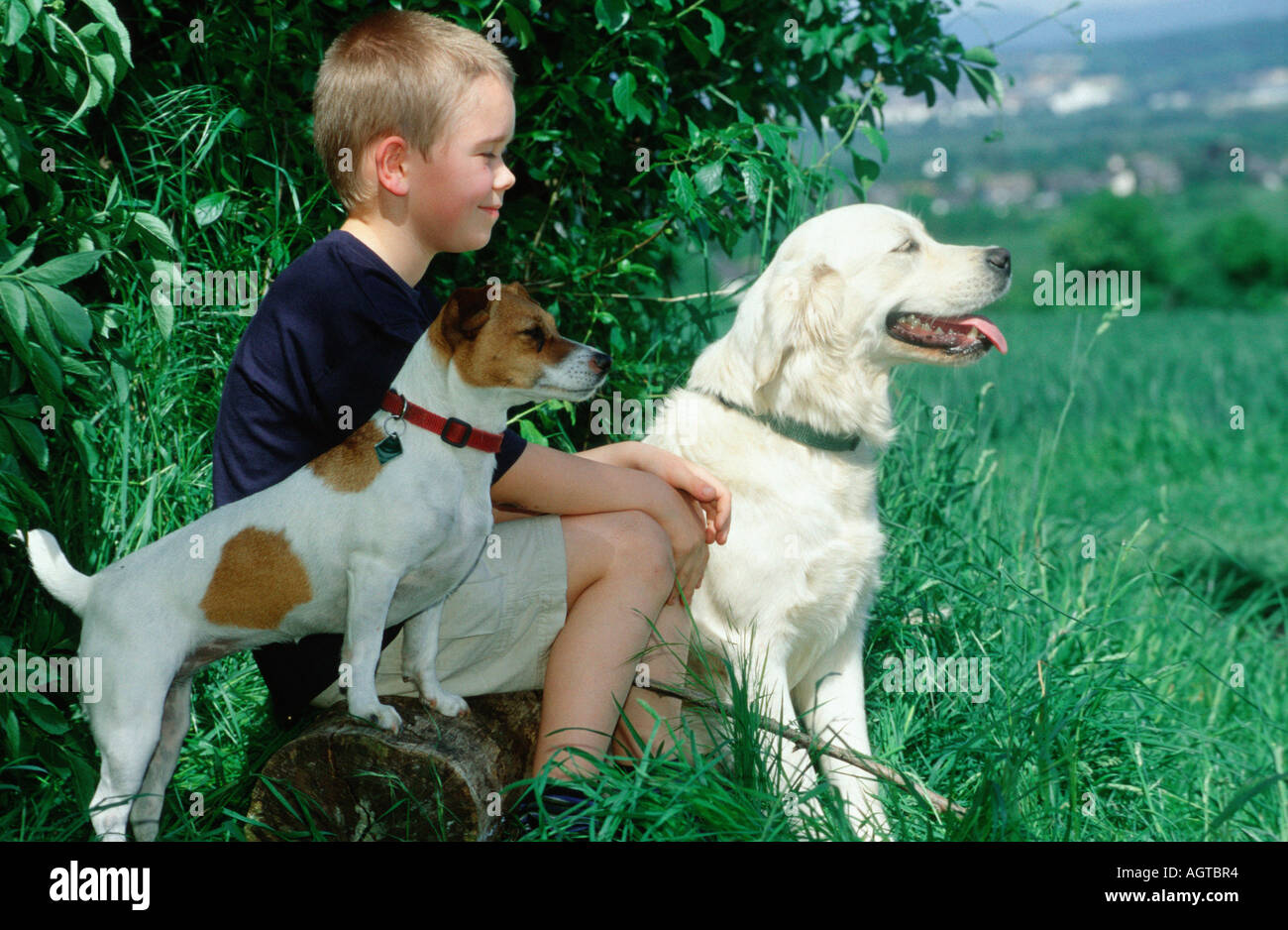 Boy with dogs Stock Photo - Alamy