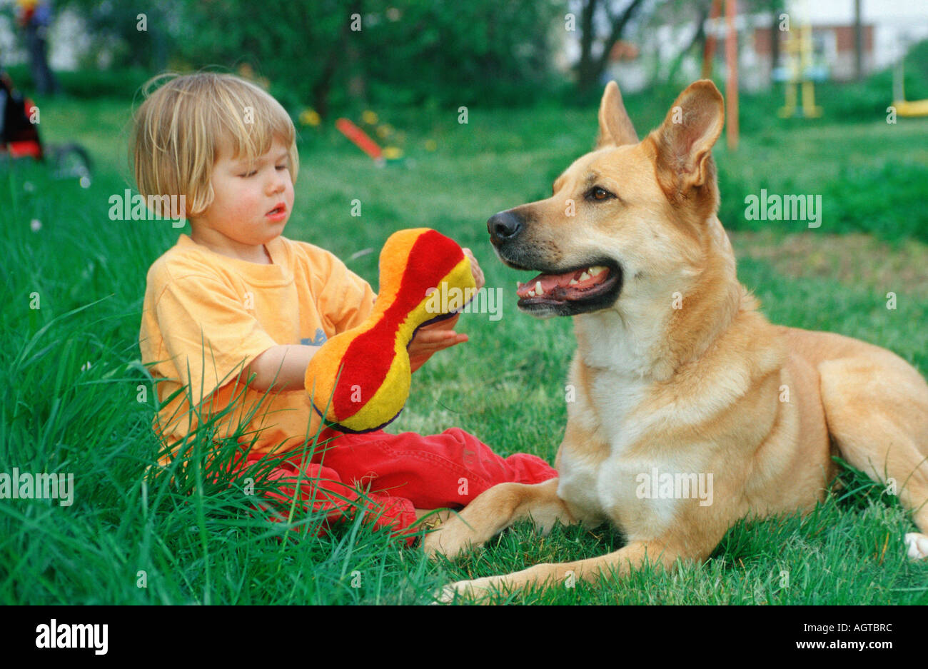 Baby with a dog hi-res stock photography and images - Alamy