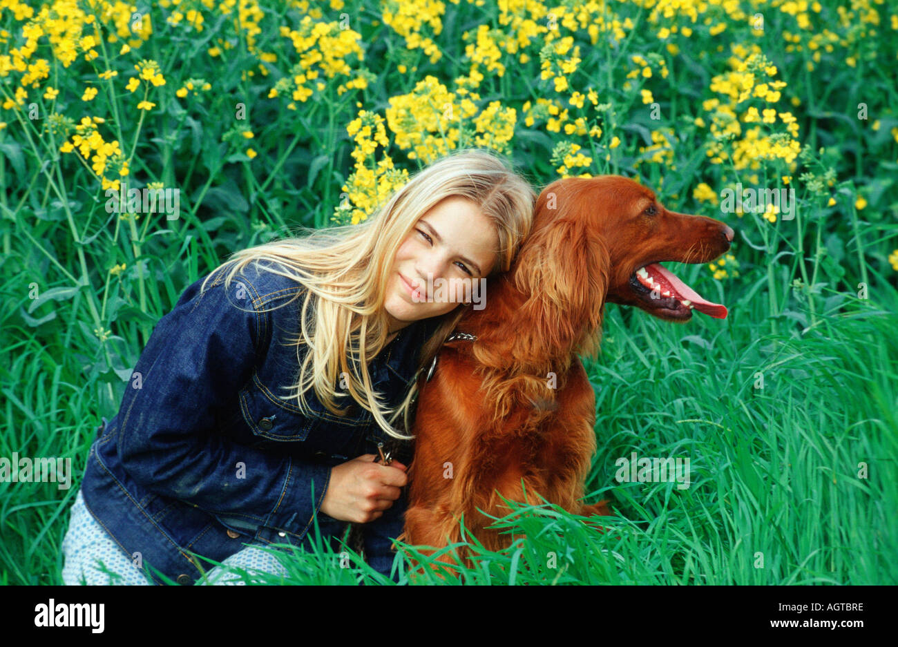 Girl with Irish Setter Stock Photo - Alamy