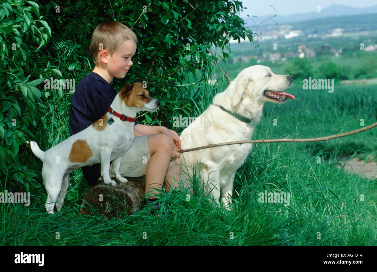 Boy with dogs hi-res stock photography and images - Alamy