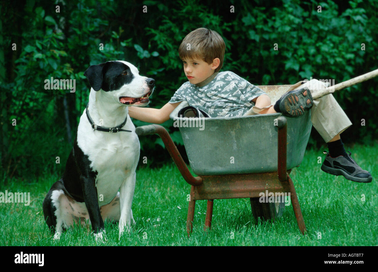 Boy with Mixed Breed Dog Stock Photo - Alamy