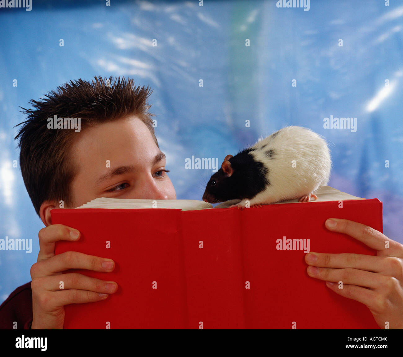 Boy with Domestic Rat Stock Photo - Alamy
