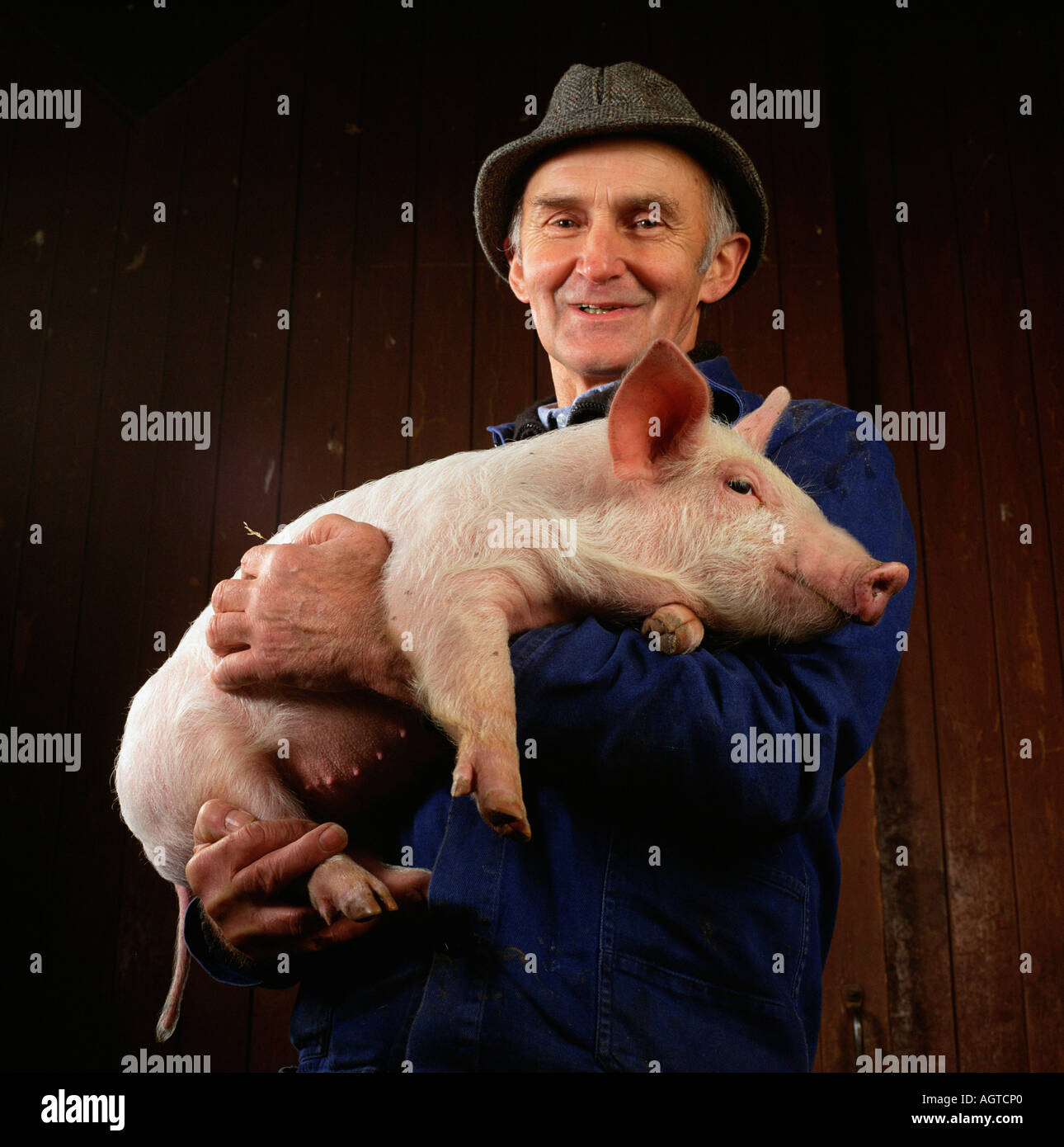 Pig farmer hi-res stock photography and images - Alamy