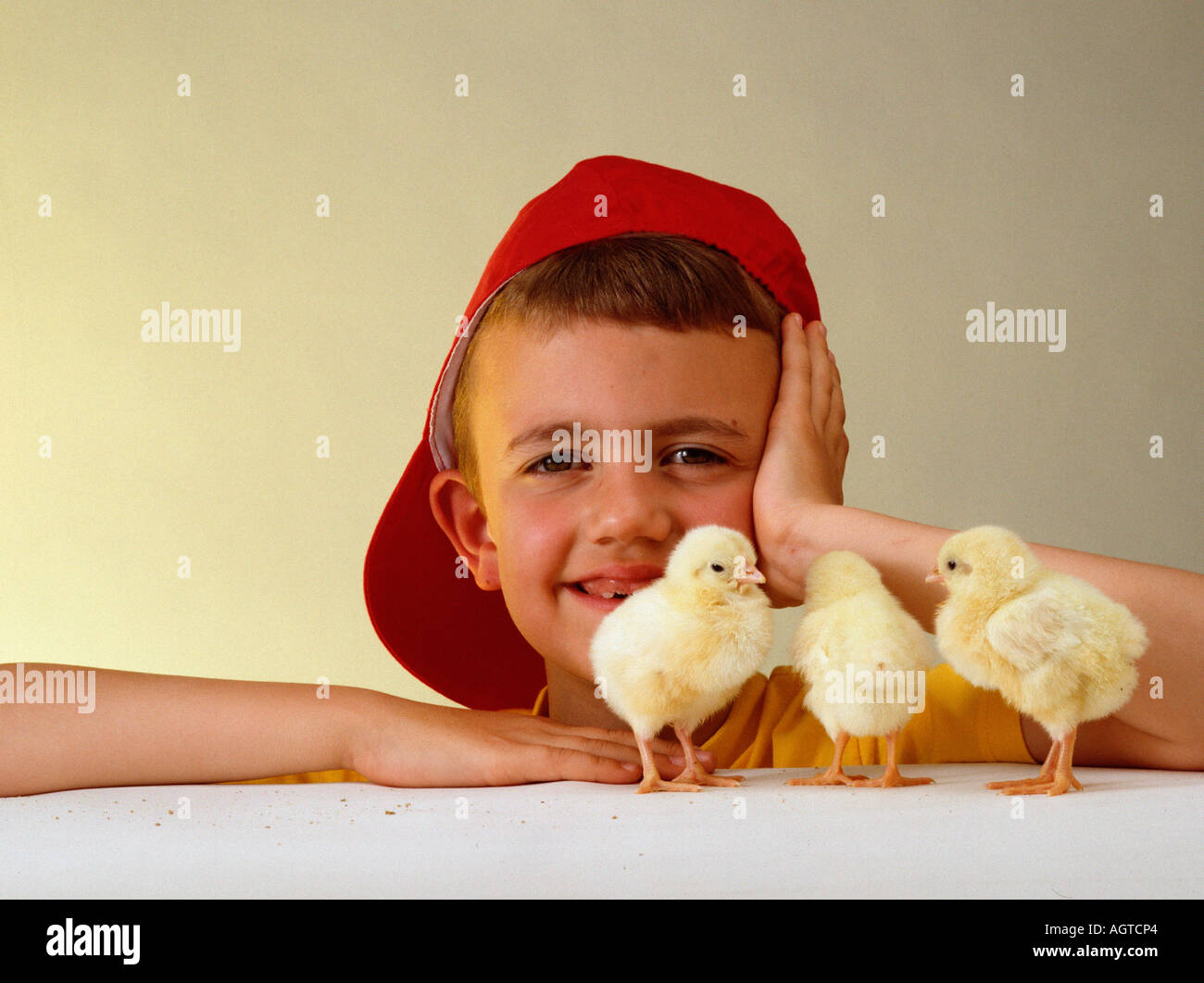 Boy chicken farm hi-res stock photography and images - Alamy