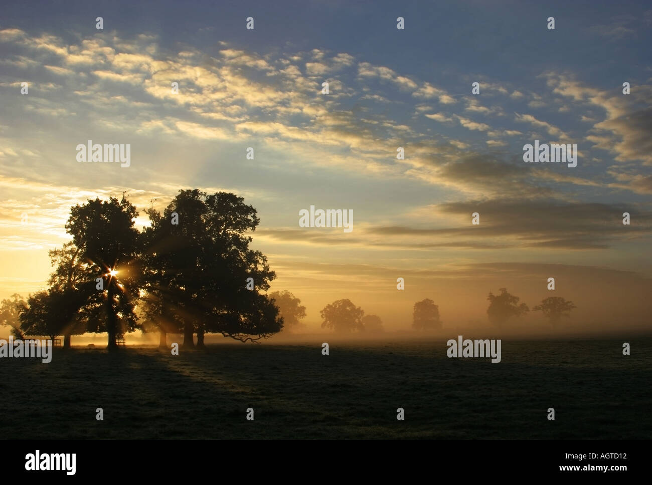 Misty Sunrise in rural Norfolk England UK Stock Photo - Alamy